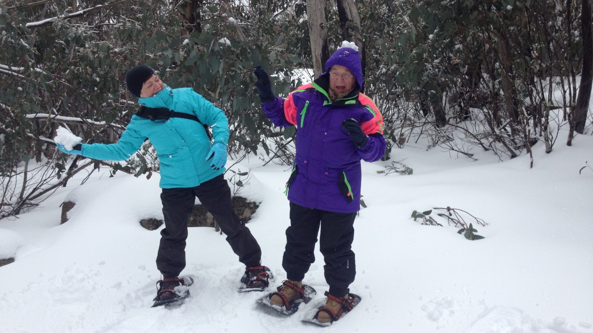 Mount Buffalo Winter – Visit Mount Buffalo