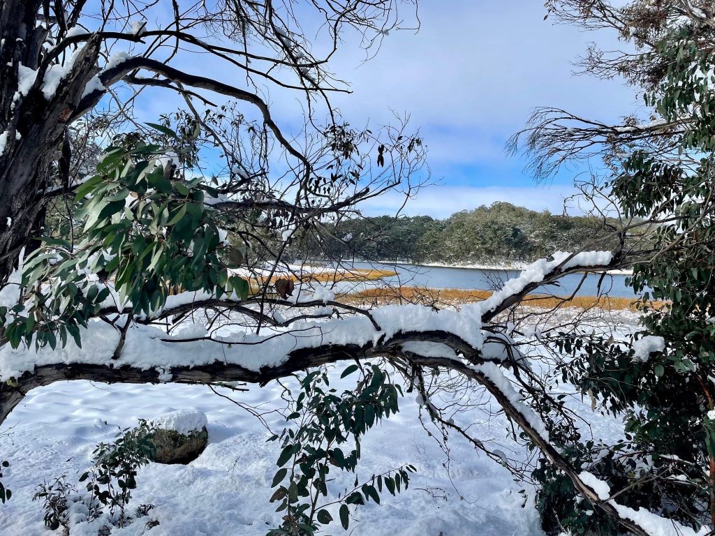 Mount Buffalo Visitor Information - Visit Mount Buffalo