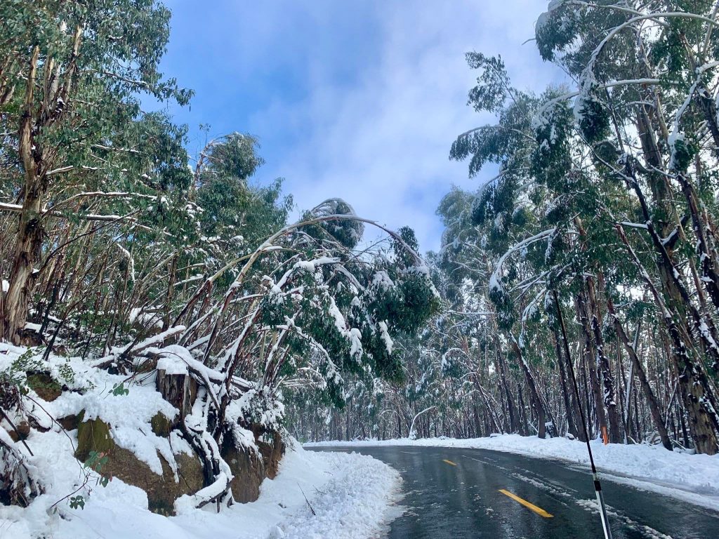 Mount Buffalo Visitor Information - Visit Mount Buffalo