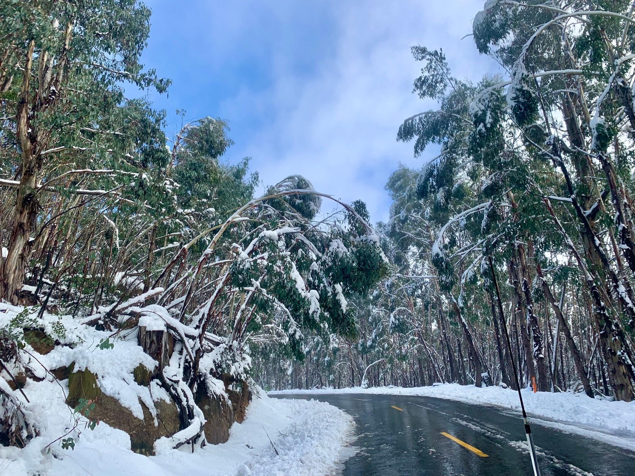 Mount Buffalo Visitor Information - Visit Mount Buffalo