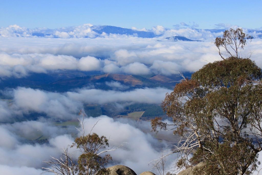 Mount Buffalo Visitor Information - Visit Mount Buffalo