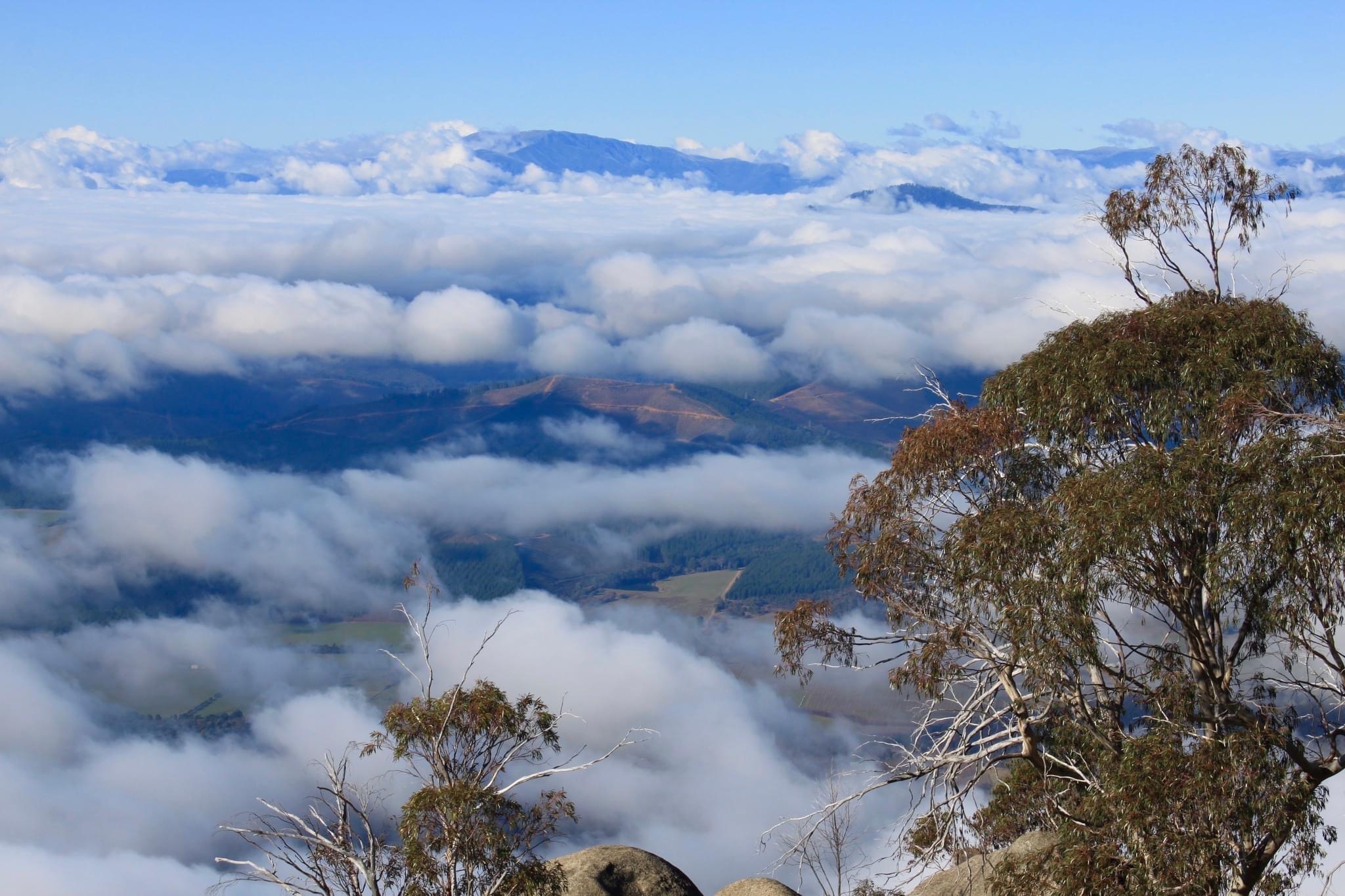 Mount Buffalo Visitor Information - Visit Mount Buffalo